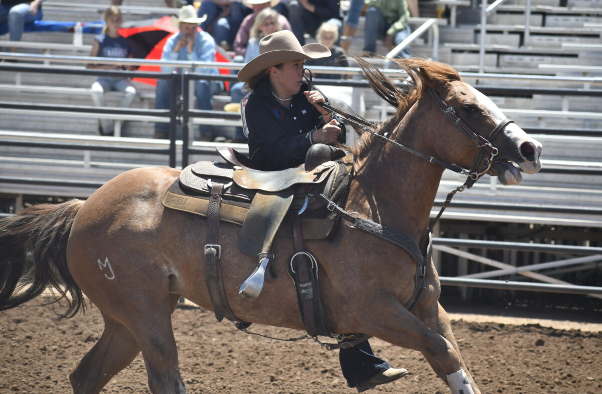 LLOYD: High school rodeo highlights toughness and kindness despite ...